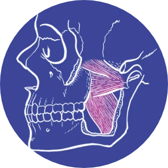 Botox® For Jaw Clenching - Empire Medical Training Blog