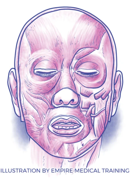 How to Inject Botox® - Empire Medical Training Blog